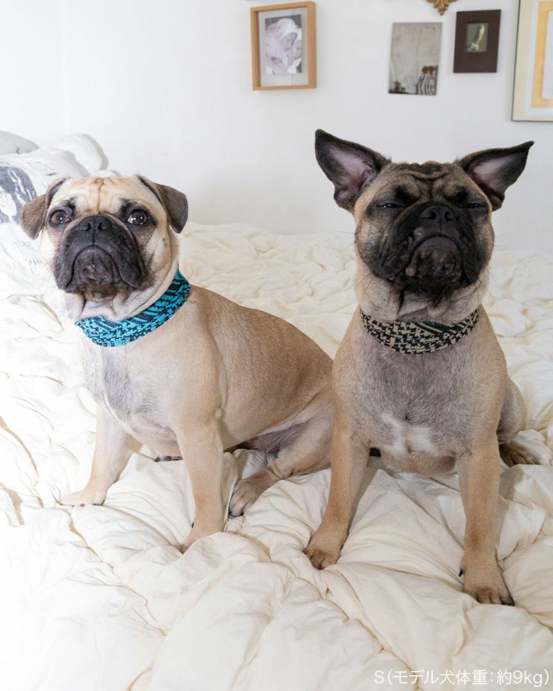 KILONINER ONLINE SHOP – KILONINER ONLINESHOP