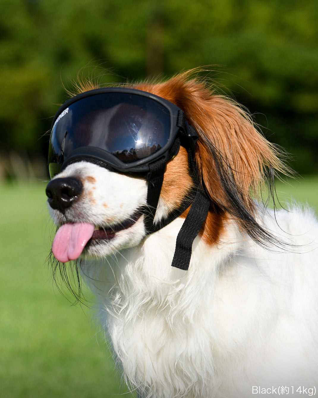 KILONINER ONLINE SHOP – KILONINER ONLINESHOP